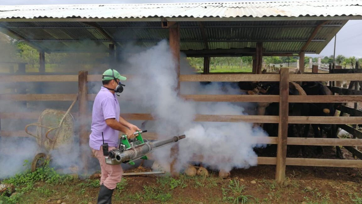 Soluciones ecológicas para control de plagas ganaderas