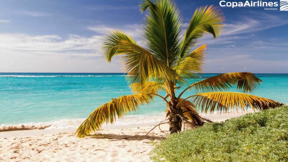 Descubre destinos sorprendentes en R y planifica tu próxima aventura