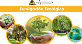 Control cultural de plagas: efectividad y beneficios ambientales