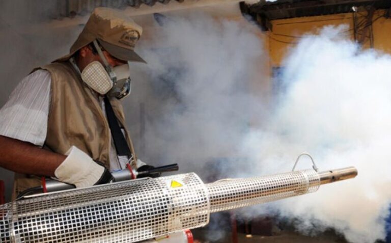 Control de plagas: Descubre los beneficios de la fumigación por humo